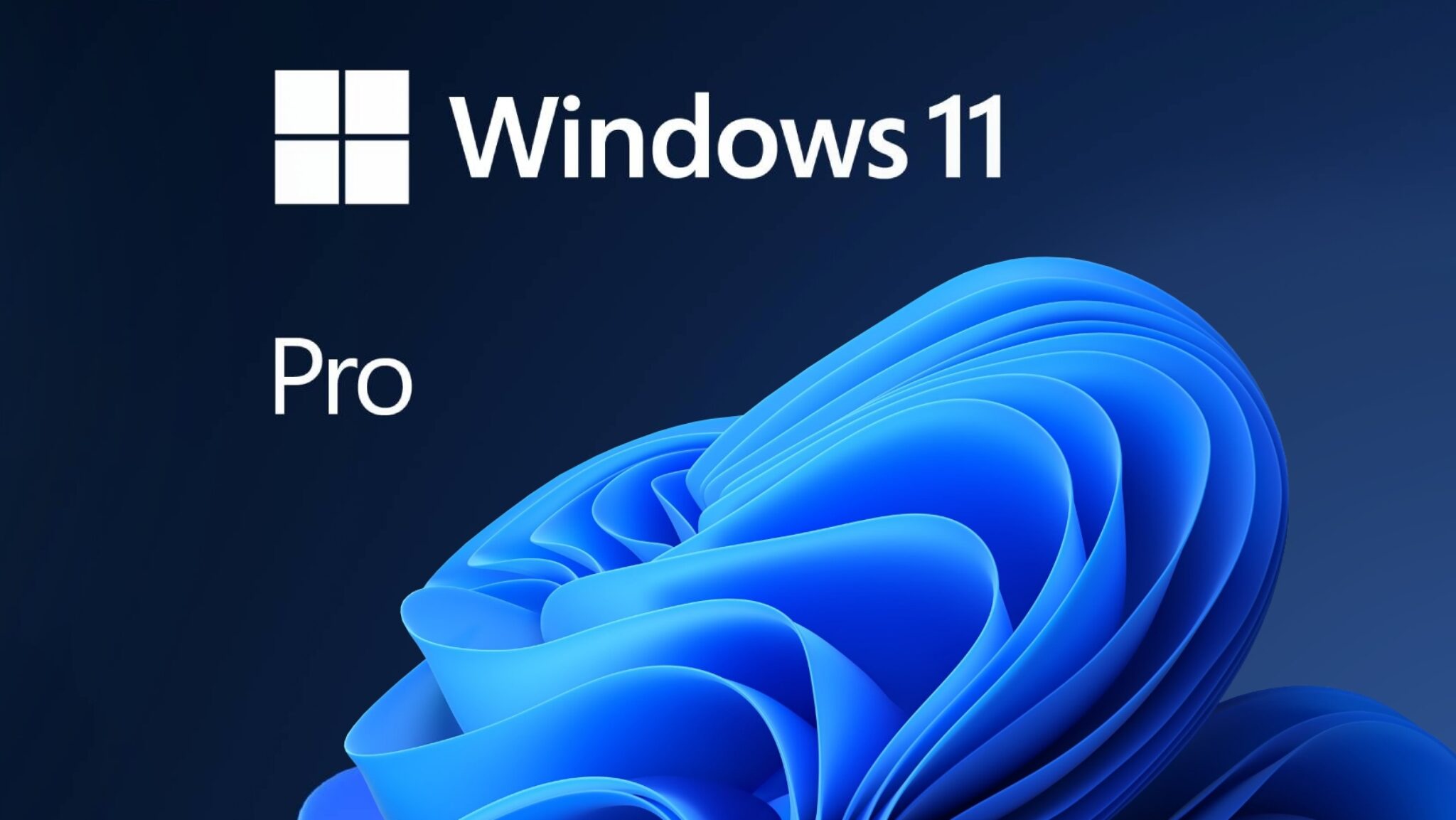 Microsoft Windows 11 Pro Original Product Key - https://egycomputers.com